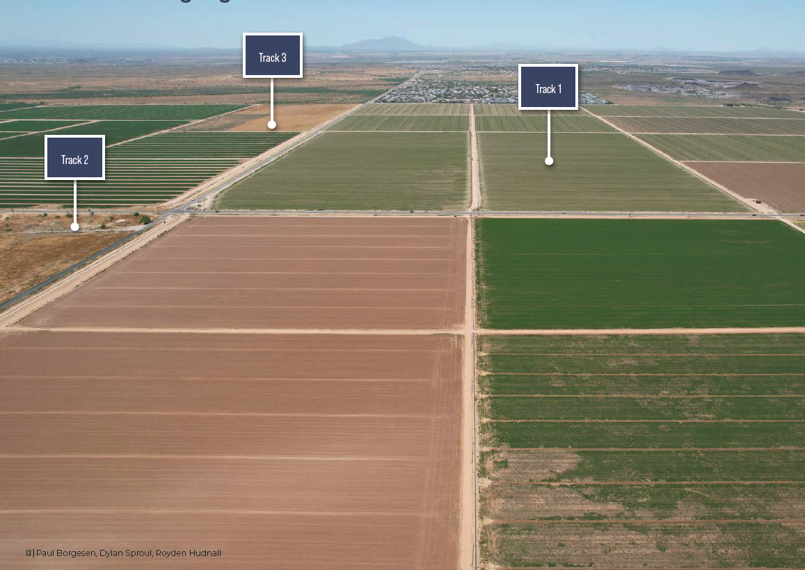 San Tan Serenity Acres | Revere