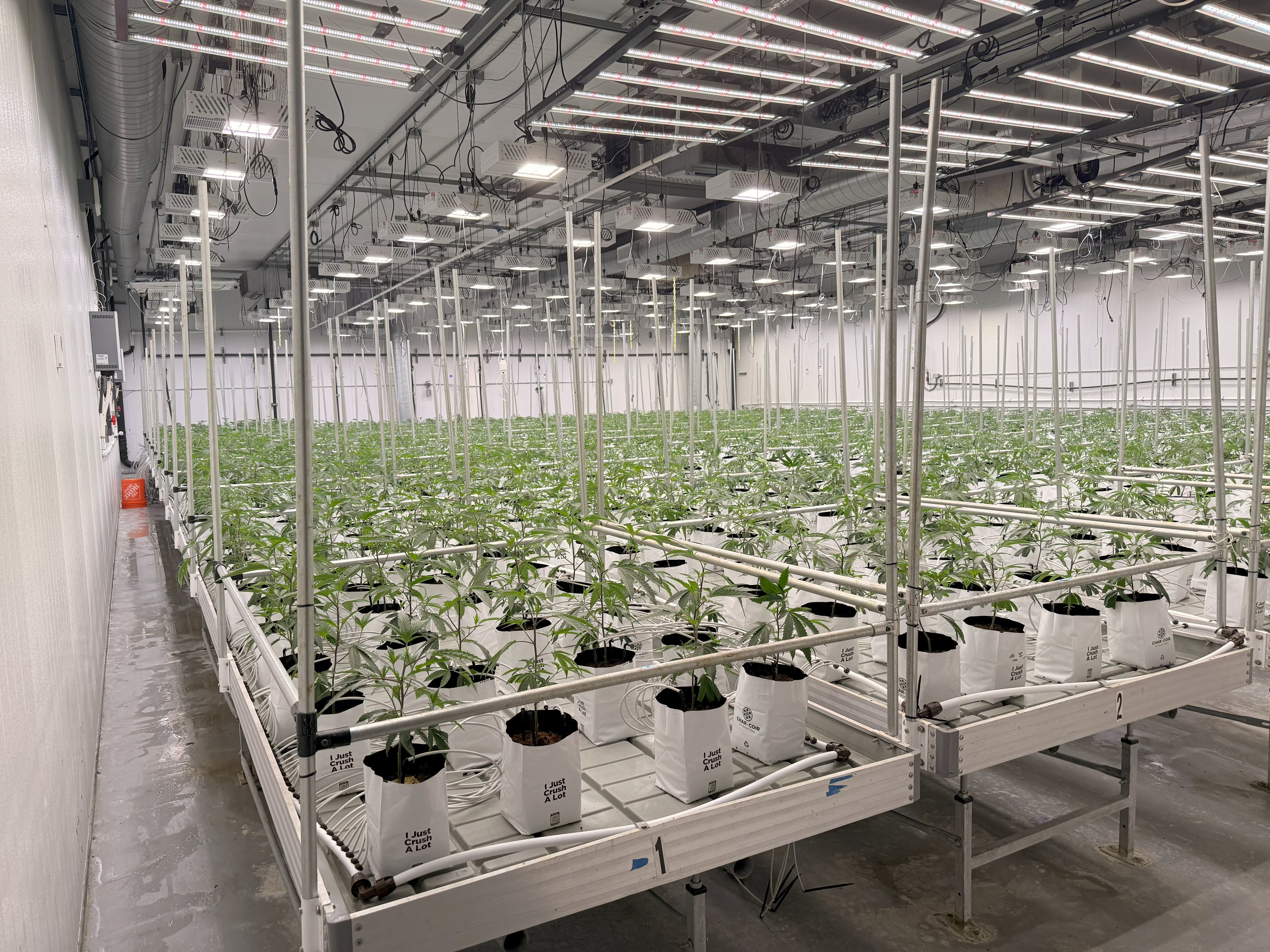 Advanced Cultivation Facility | Business + Real Estate | Revere